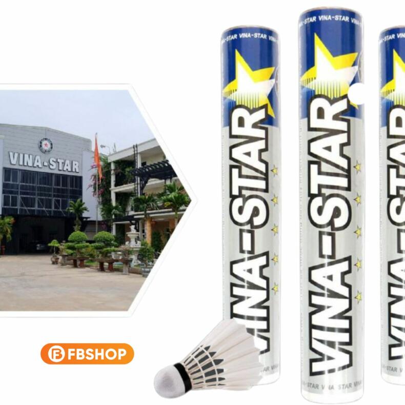 Ống Cầu Lông Vina Star Bạc Xanh | Cầu Vina Star Ống Bạc